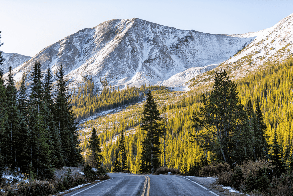 3 Ways to Identify and Establish the Behaviors Your Team Needs - Ice ...